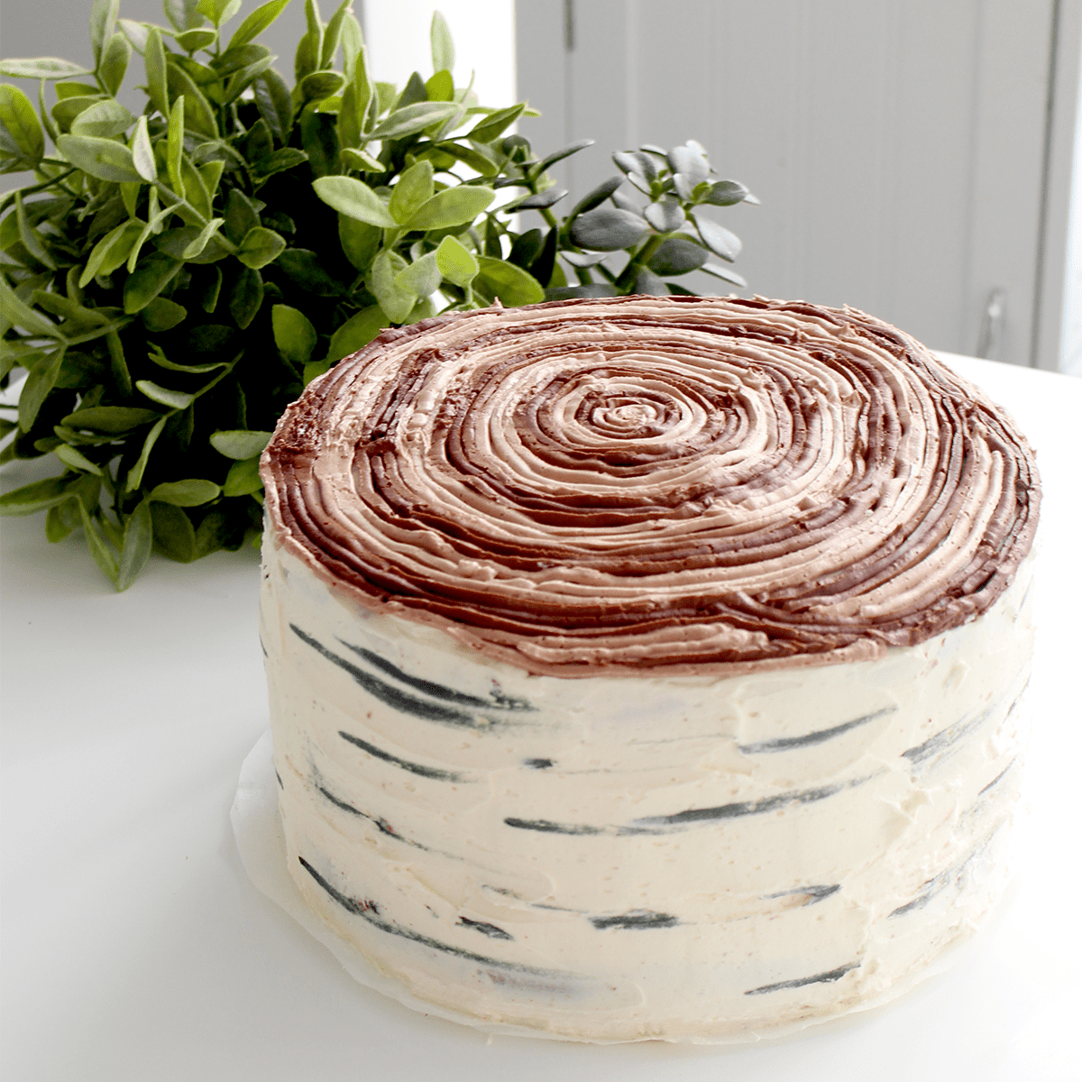 Birch Stump Cake - Pankobunny