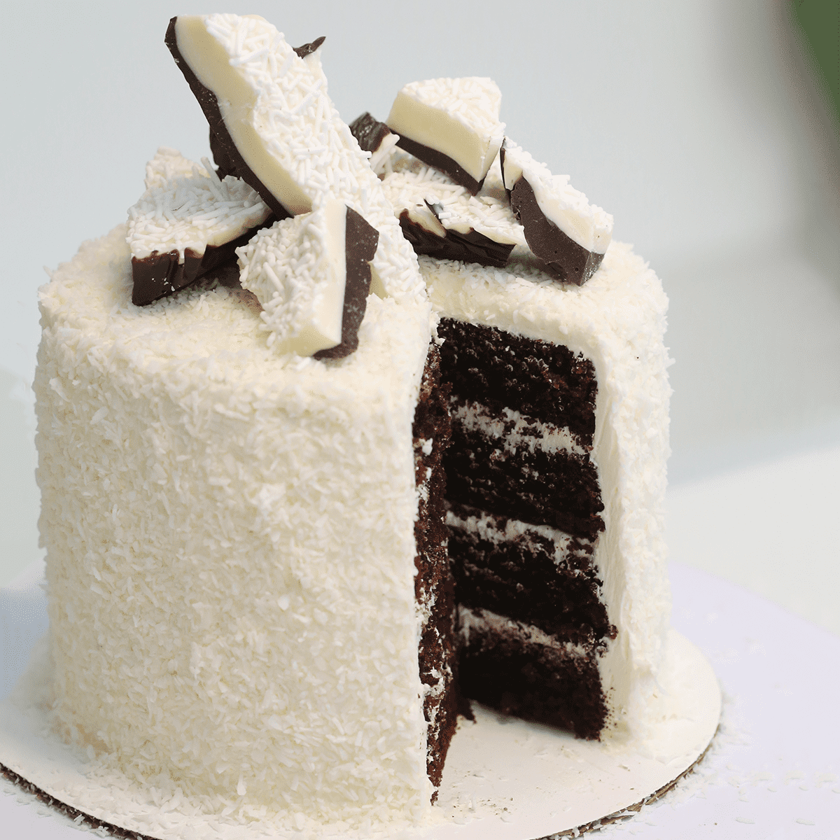 Bounty Chocolate Coconut Cake - Pankobunny