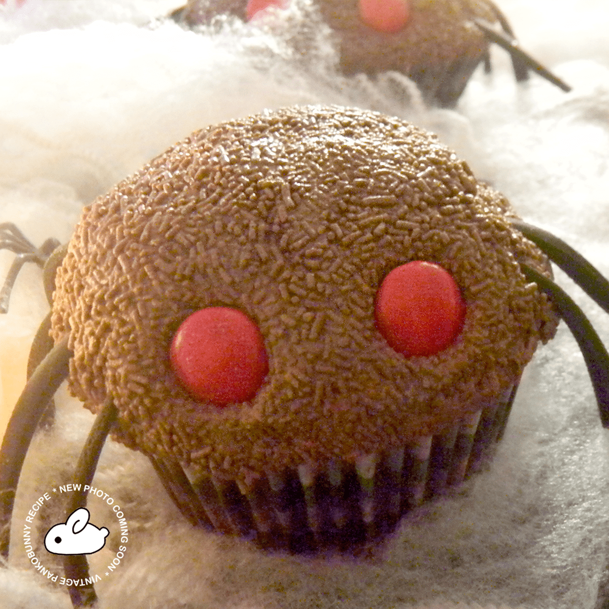 Fuzzy Tarantula Cupcakes - Pankobunny