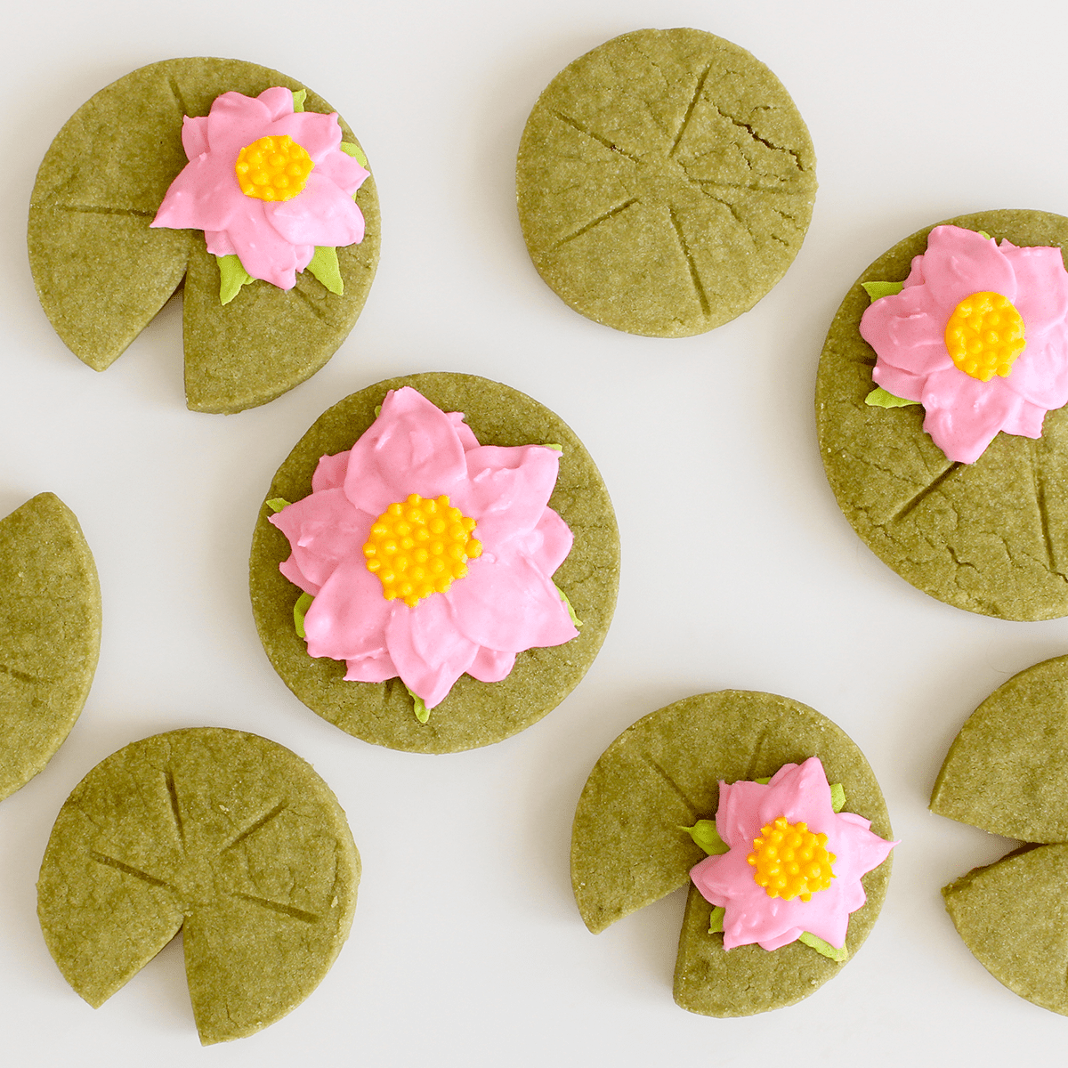Matcha Lily Pad Shortbread - Pankobunny