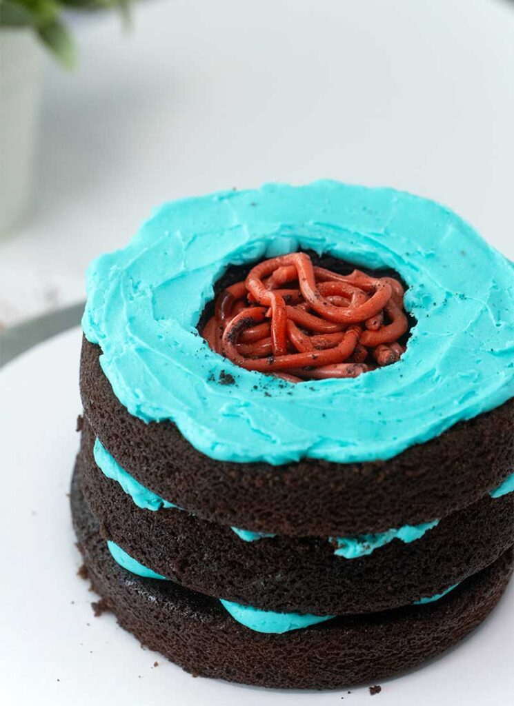 Worm-filled Birthday Cake - Pankobunny