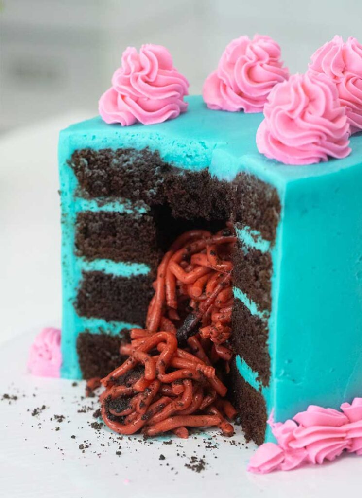 Worm-filled Birthday Cake - Pankobunny