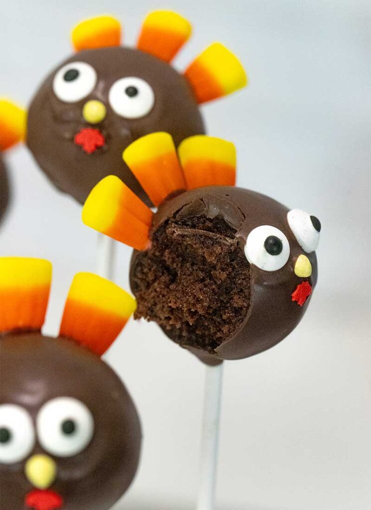 Turkey Cake Pops - Pankobunny