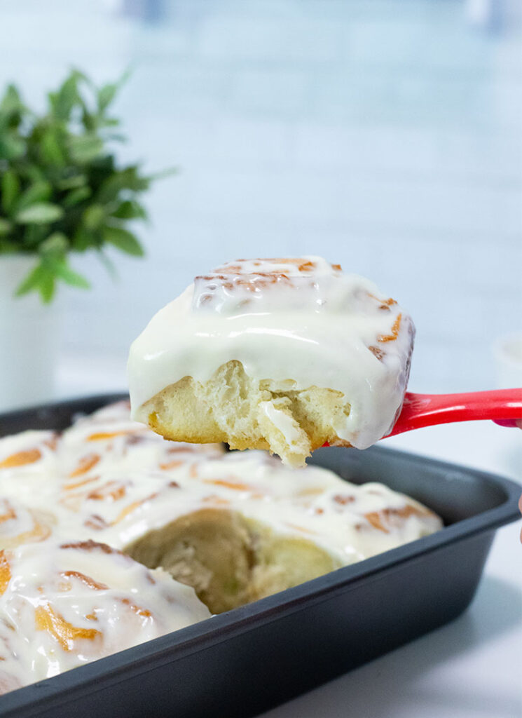 Cake Mix Cinnamon Rolls - Pankobunny