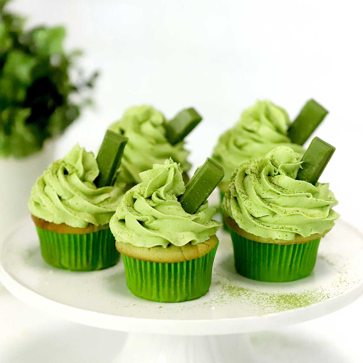 Matcha Green Tea Cupcakes - Pankobunny