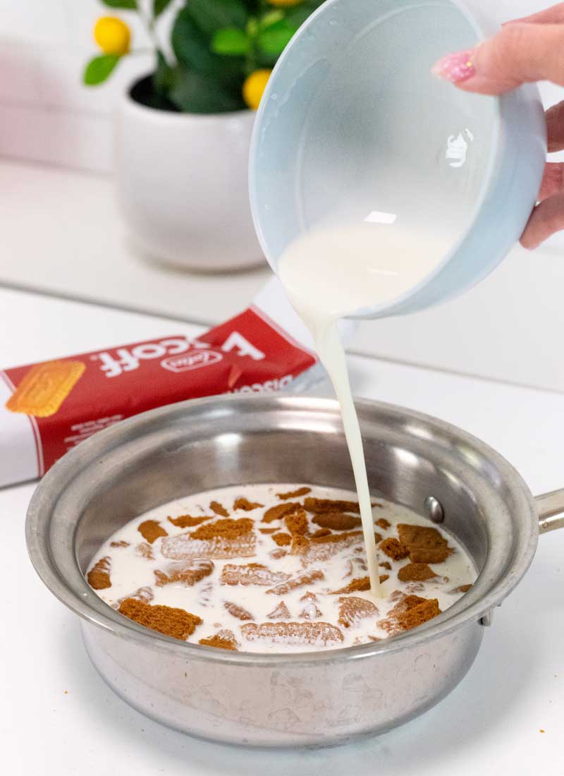 Biscoff Ice Cream - Pankobunny