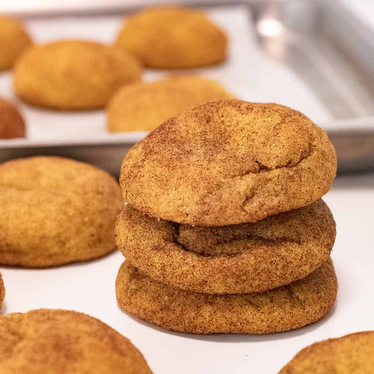 Pumpkin Snickerdoodles - Pankobunny